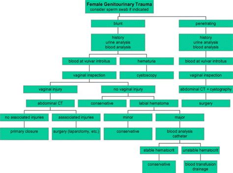 Eau Guidelines On Urological Trauma European Urology