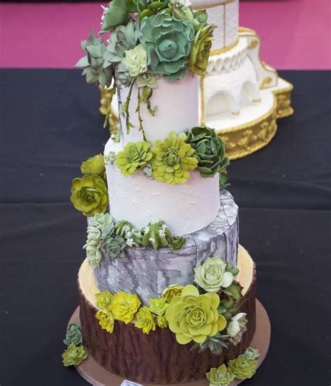 Succulent Cakes Too Pretty To Eat Cakecentral