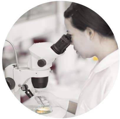 Write Online Lab Report Writing Guide Planning And Researching