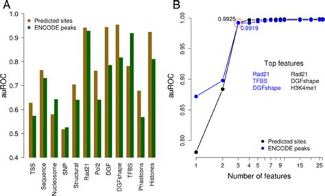 classification results in genome wide predicted sites and encode peak