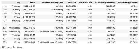 How To Extract And Clean Apple Health Data With Python