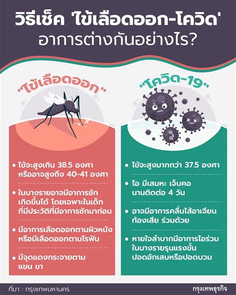 เช็ค อาการโควิด ต่างจาก ไข้เลือดออก อย่างไร หลังพบโรคไข้เลือดออกบุกกรุง