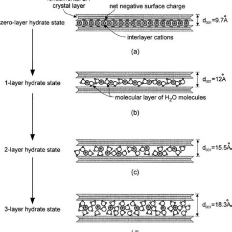 2 Conceptual Model Of The Sequential Crystalline Swelling Process For