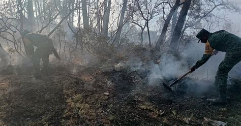 Ejército Lucha Contra Incendio Forestal En La Zona Más Alta De