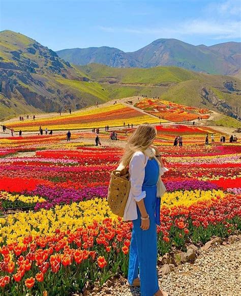 بهترین عکسها از طبیعت ایران On Instagram “ 👈👈👈تعطیل شد👉👉👉 به نظر