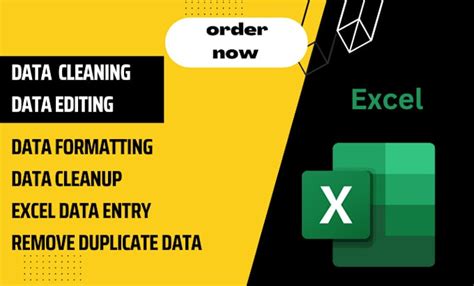 Do Excel Data Cleaning Editing Formatting Remove Duplicate Data By Khansa Iftikhar Fiverr
