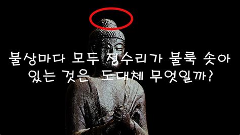 불상마다 모두 정수리가 불룩 솟아 있는 것 도대체 그게 머꼬불교 절 이야기 부처 불상의 기원 부처 불상 불상