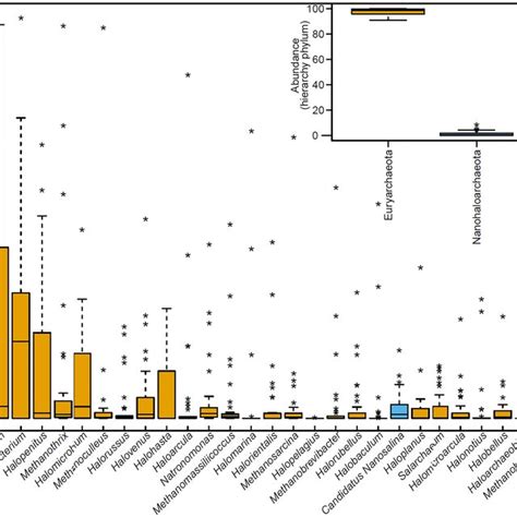 Boxplot Diagram Showing The Distribution Of Abundances For Dominant