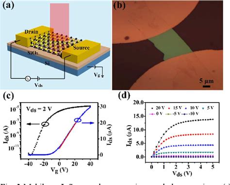 Figure From Ultrahigh Photo Responsivity And Detectivity In
