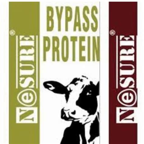 Bypass Protein Cattle Feed At ₹ 25kg Rumen Protected Fat In
