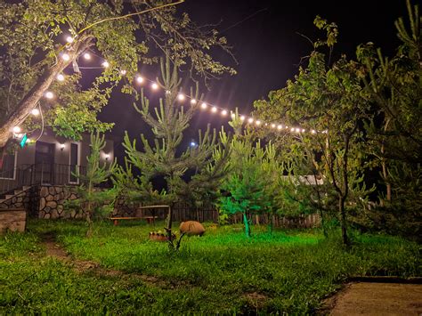 საოჯახო საოჯახო სასტუმრო მწვანე სახლი წაღვერში