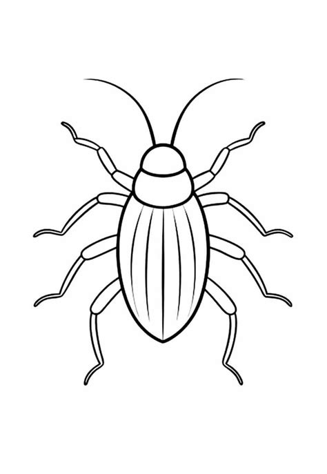 Desenhos De Baratas Para Colorir Bora Colorir