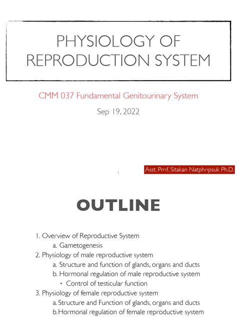 Physiology Of Reproduction System Pdf Sperm Sex