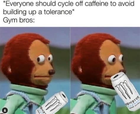 45 Funny Workout Memes Providing Calorie Burning Laughter This Week