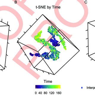 T SNE Of Simulated Time Course Single Cell RNA Sequencing Data For A Download Scientific