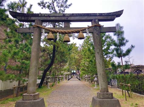 茅ヶ崎鶴嶺八幡宮の占い 34 とことこ湘南