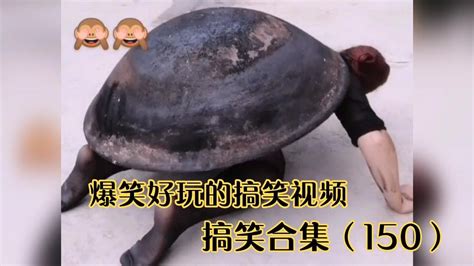搞笑合集 搞笑视频：女子铁锅背上一放四肢一伸，铁甲乌龟逗笑我了。 🤣🤣 P813 Youtube