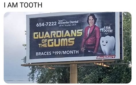 45 Delightful Memes That Will Make You Bust A Gut Funny Gallery