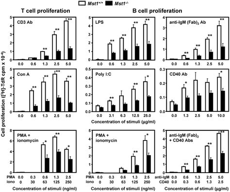 Deficient Proliferation Of Mst1 22 T And B Cells In Vitro Single Cell