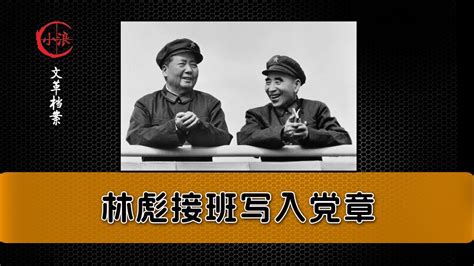 文革档案：林彪接班写入党章文革 文革档案 文革部 Youtube
