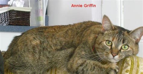 Discovering Computer Graphics Midterm 2