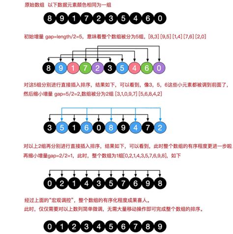 seven sorting algorithms