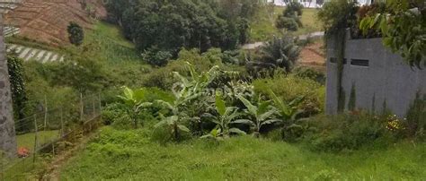 Jual Tanah HGB Di Cigadung Harga Terbaru