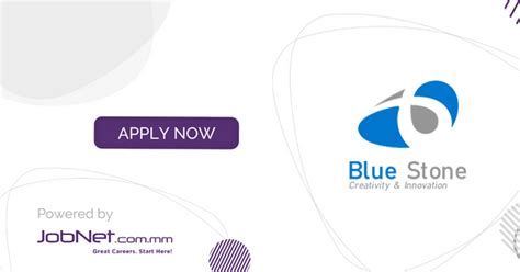 Software Tester Blue Stone Solution Coltd