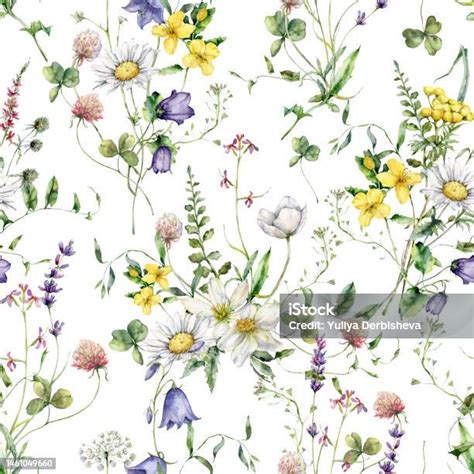 수채화 초원 꽃은 카모마일 미나리 아재비 탠시 및 캄파눌라의 매끄러운 패턴입니다 흰색 배경에 격리된 손으로 그린 꽃 그림 디자인 인쇄 직물 또는 배경용 꽃 식물에 대한 스톡