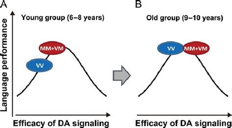 Putative Inverted U Shaped Relationships Between Language Performance