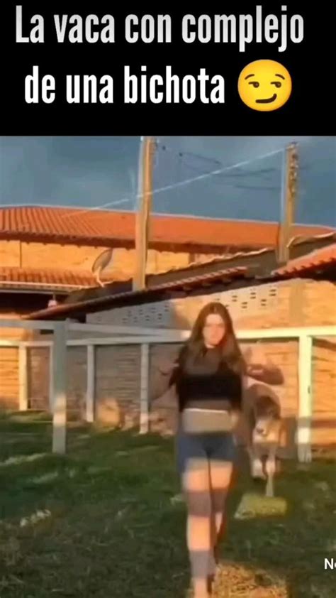 No Puedo Con Este Video 🤣 En 2024 Fotos Para Reírse Imagenes