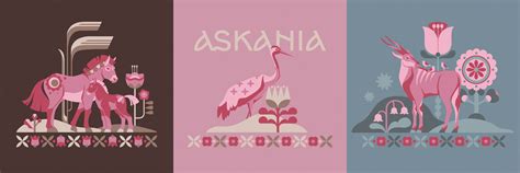 Askania Clothing Capsule Collectionembroidery Design On Behance