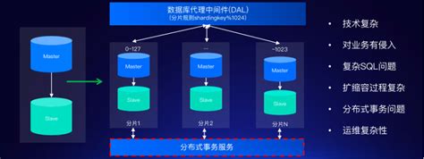 从传统数据库痛点看分布式数据库选型问题文化 And 方法蔡鹏infoq精选文章