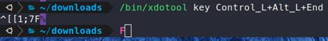 Xdotool Type Controllaltlend Command Not Working As Expected