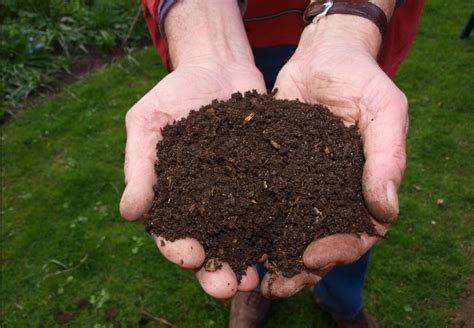 Understanding Different Soil Types And Their Needs