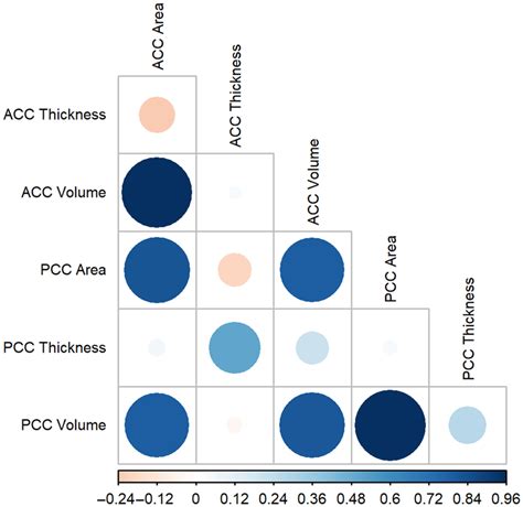Correlation Plot For Anatomical Measurements The Blue Color Shows A Download Scientific