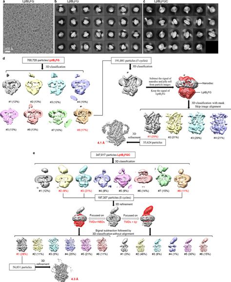 Image Processing For The Cryo EM Data Of Nanodisc Embedded LptB2FG And