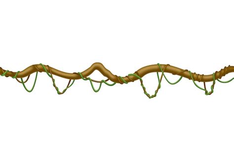 Premium Vector Liana Stem Border Rainforest Green Vine Or Twisted Plant Hanging On Branch