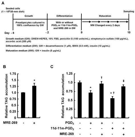 Life Free Full Text Prostaglandin D2 Added During The