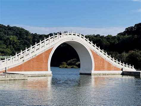 2024大湖公園 台北市最方便賞落羽松點 shine的幽美幻境 udn部落格