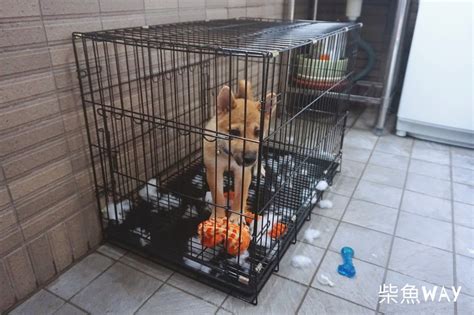 昨天才新買的玩具 家有無敵破壞王 ETtoday新聞雲