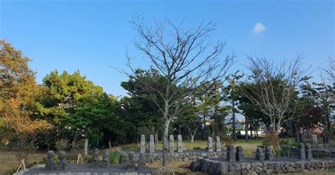 국립제주박물관 고 이건희 회장 기증 제주 동자석·문인석 전시