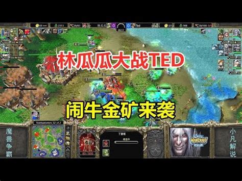 林瓜瓜大战Ted闹牛金矿来袭Ted不要慌魔兽争霸3 YouTube