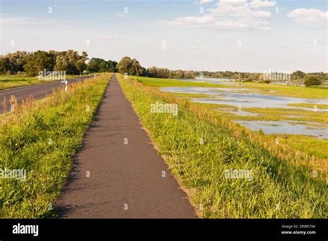 Hochwasser In Oderbruch Hochwasser In Oderbruch Stockfotografie Alamy