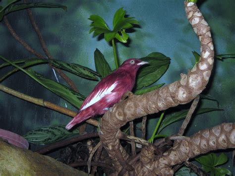 Img 2055 Darren Williger Flickr