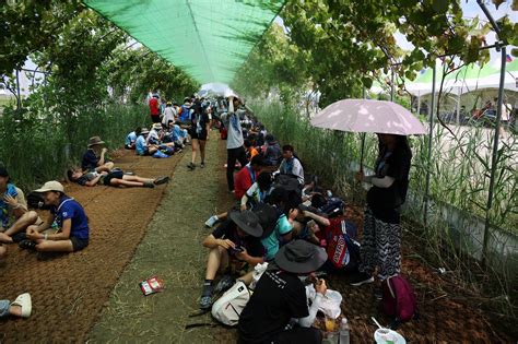 韩世界童军露营变鱿鱼游戏 多国大使馆表关注 6parkbbs