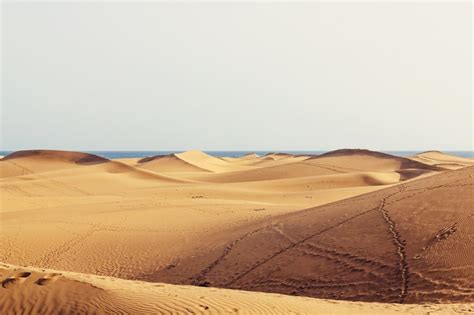 Las Dunas De Maspalomas Reciben 60000 Metros Cúbicos De Arena Para