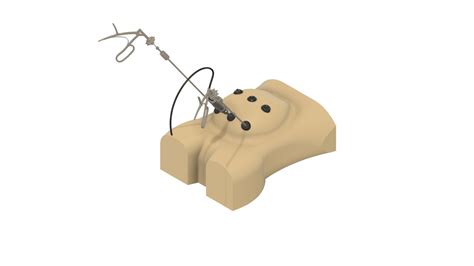 Laparoscopic Simulator With Organs Included 3d Turbosquid 2160616