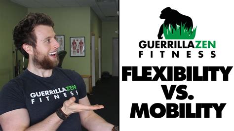 Flexibility Vs Mobility The Differences Guerrillazen Fitness