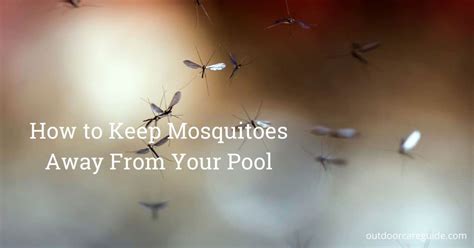 Keep Mosquitoes Away From Your Pool With These Tips